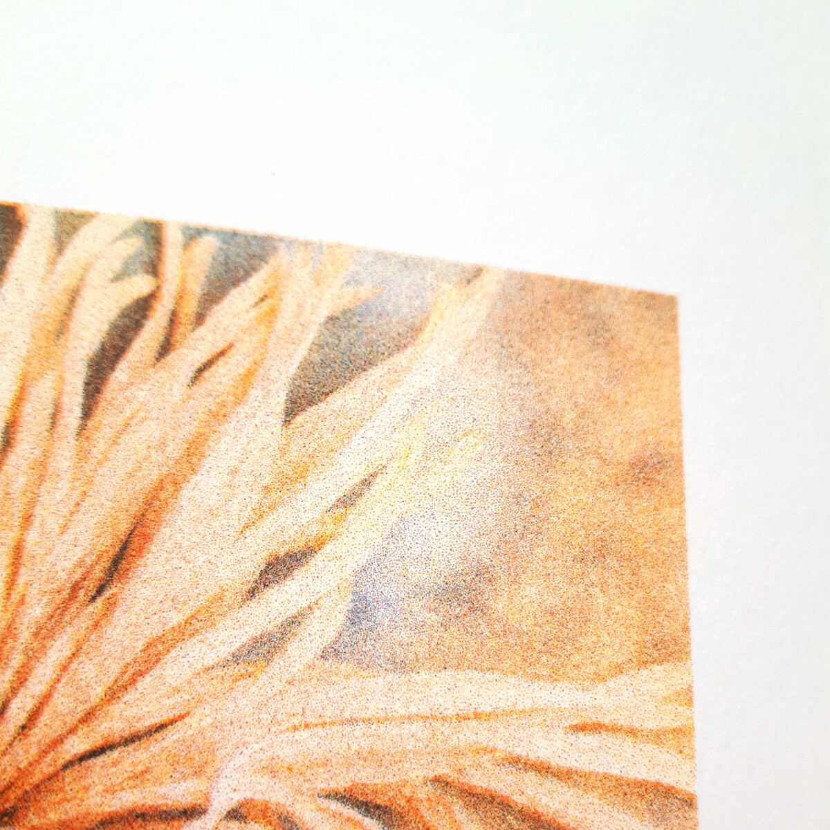 Collage photographique Femme fleur impression risographie